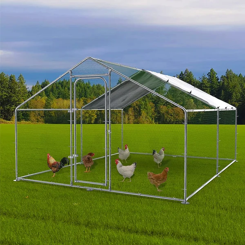 Tashina 62.7 Square Feet Chicken Run