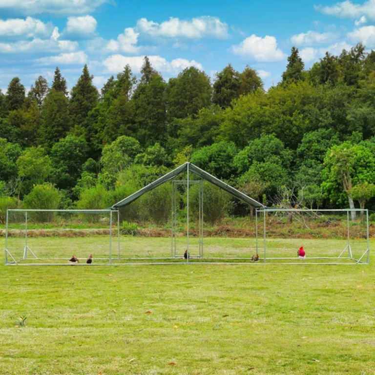 Dack 149.5 Square Feet Walk in Chicken Run