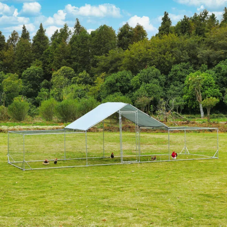 Dack 149.5 Square Feet Walk in Chicken Run